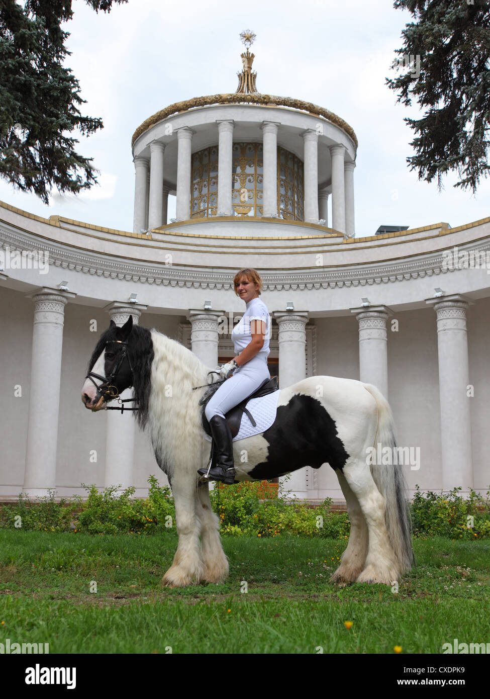 Tinker horse hi-res stock photography and images - Alamy