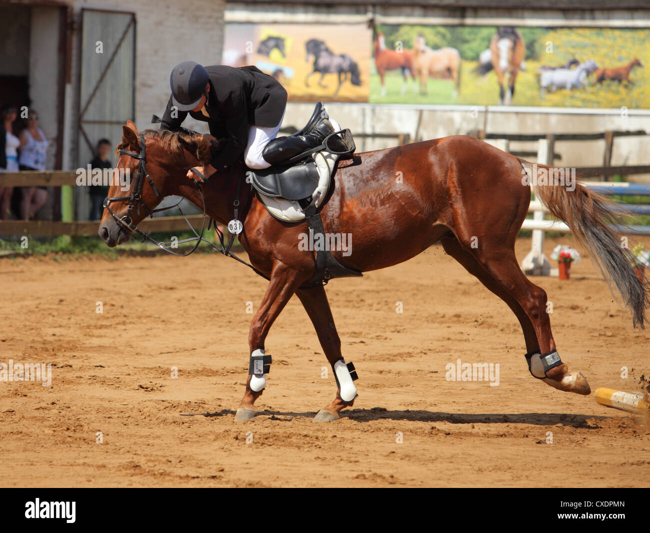 Brown horse refuse jump dismount hi-res stock photography and images ...