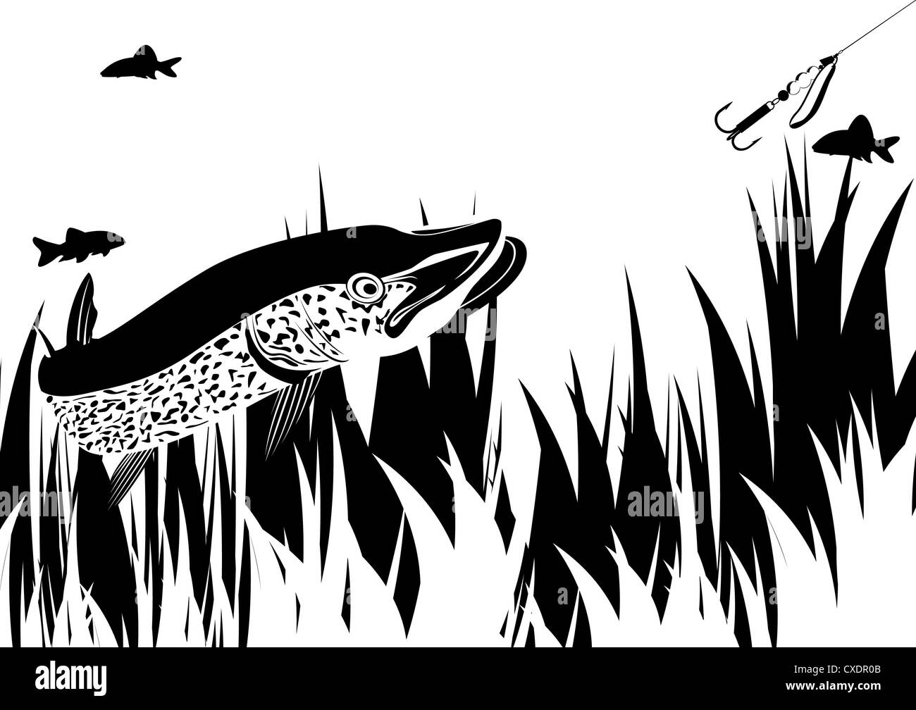 Pike fishing gear chasing. Black and white illustration Stock Photo - Alamy