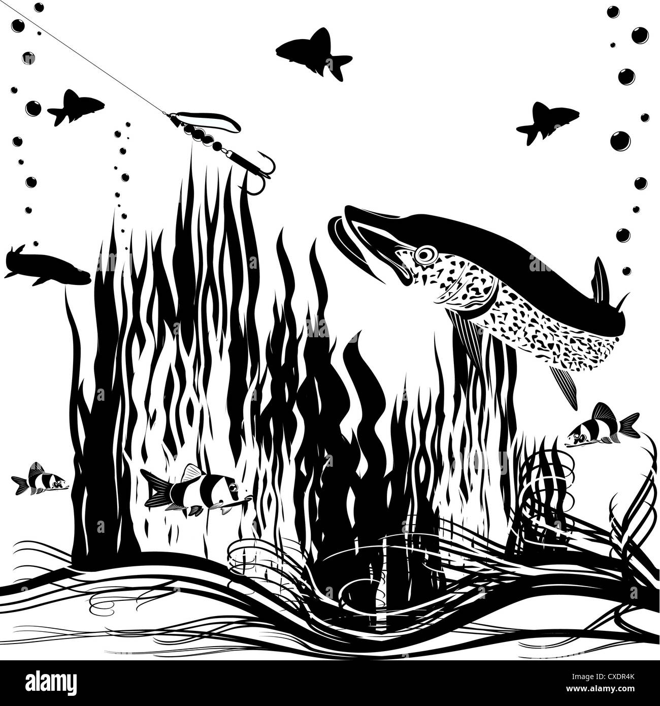 Pike fishing gear chasing. Black and white illustration Stock Photo - Alamy