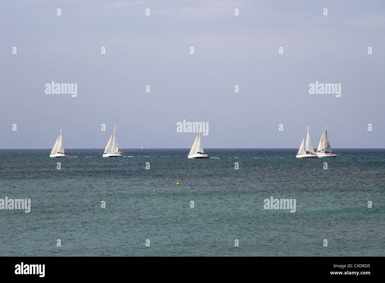 Sailboats on sea horizon sailing scene Stock Photo - Alamy