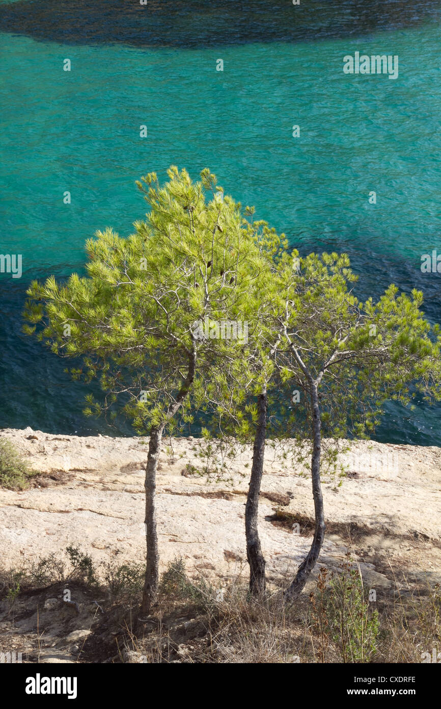 El mago beach hi-res stock photography and images - Alamy