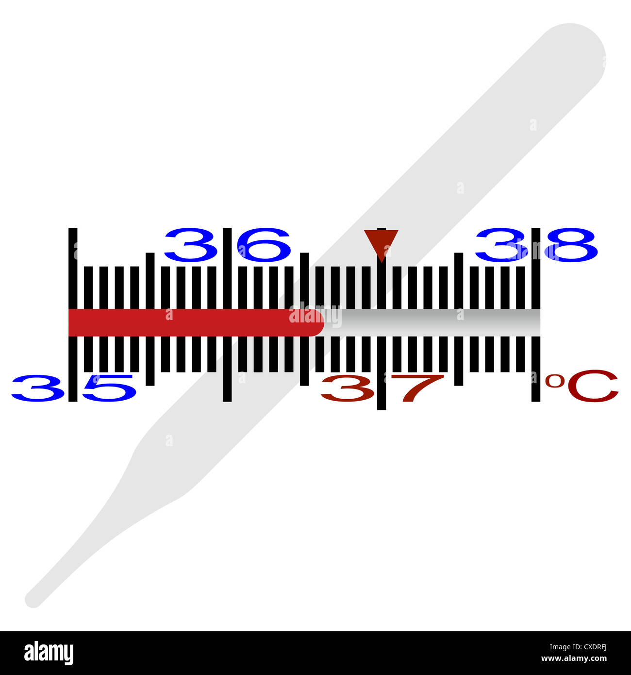 Temperature human health Stock Photo - Alamy