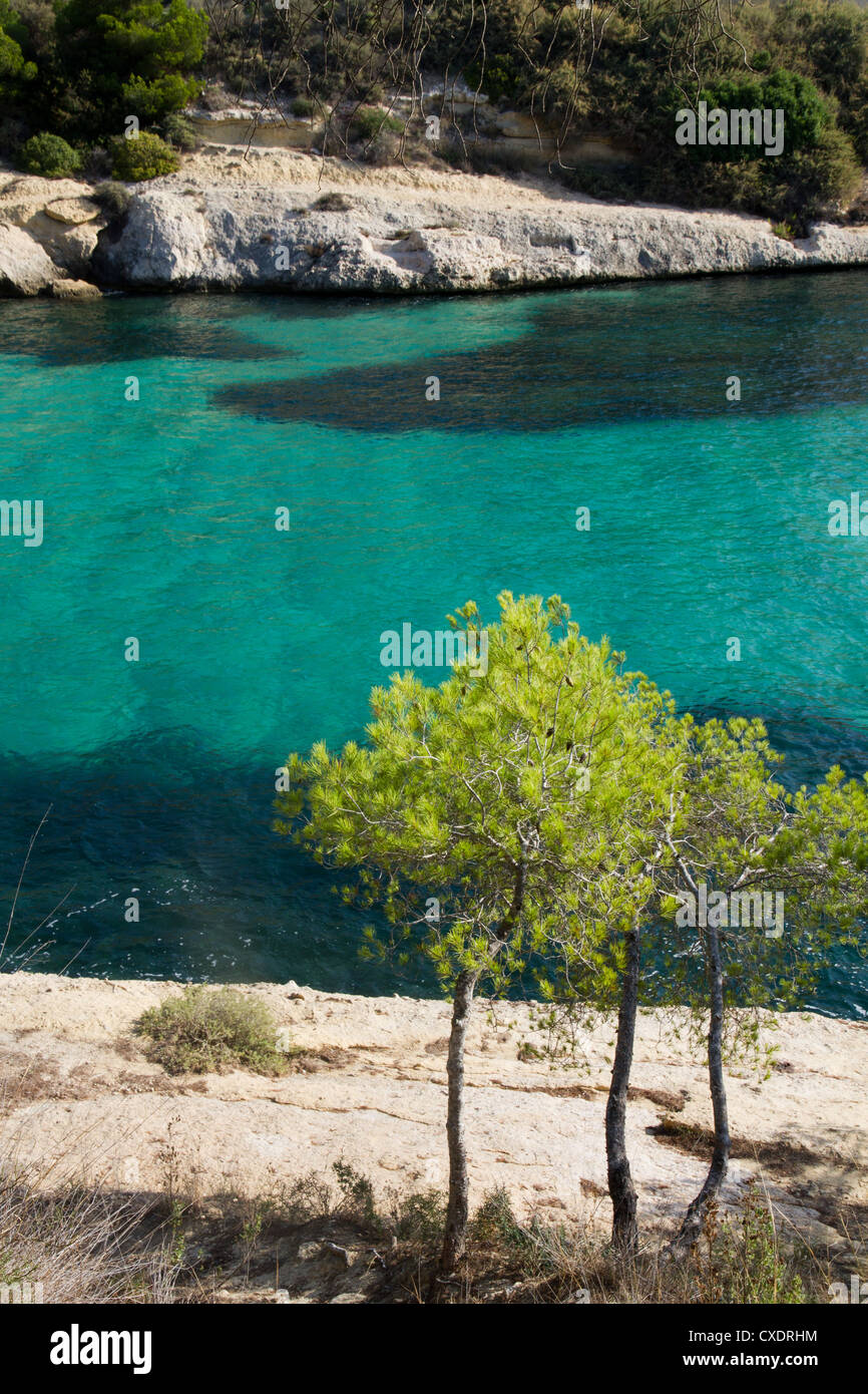 El mago mallorca hi-res stock photography and images - Alamy