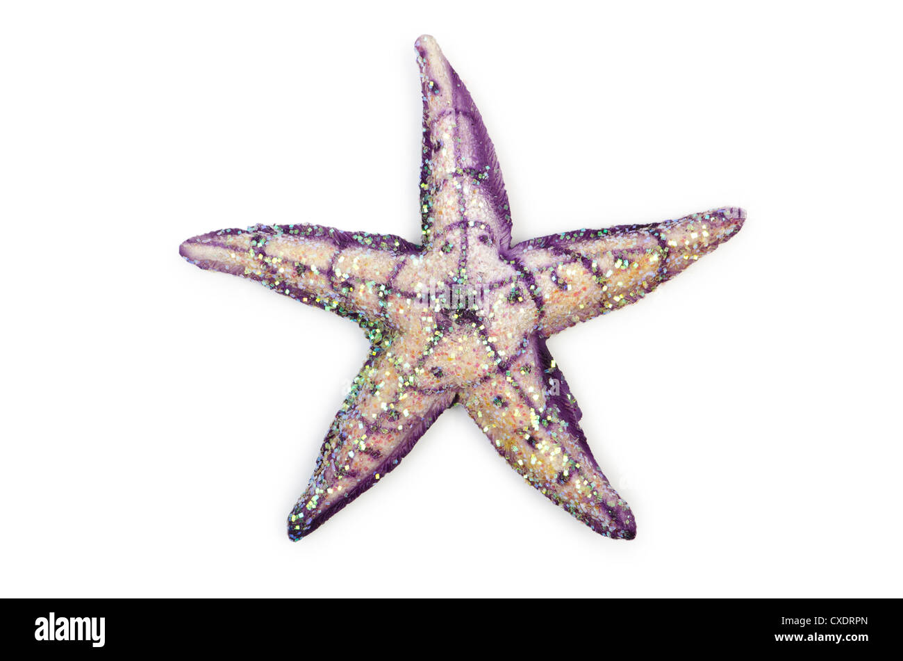 Background seashell sea stars Cut Out Stock Images & Pictures - Alamy