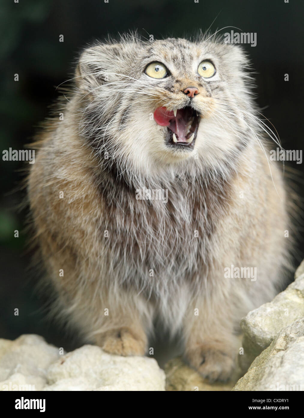 That Was Delicious! Stock Photo - Alamy