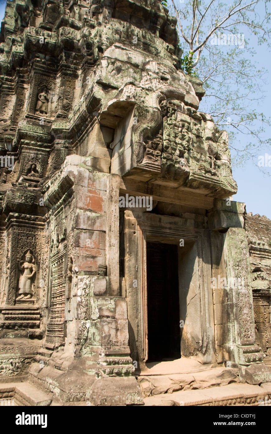 Ta Prohm, Angkor Archaeological Park, UNESCO World Heritage Site, Siem ...