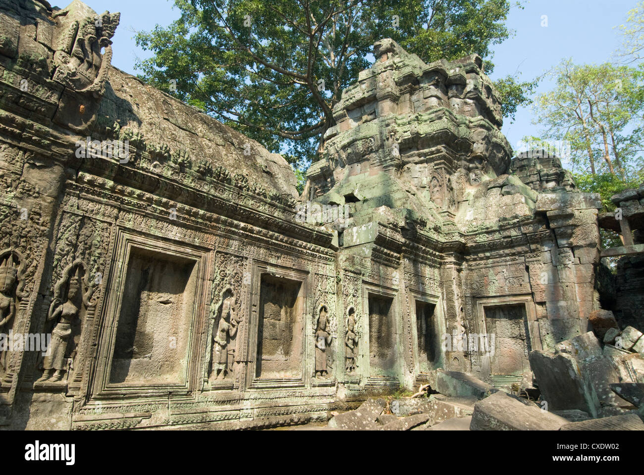 Ta Prohm, Angkor Archaeological Park, UNESCO World Heritage Site, Siem ...