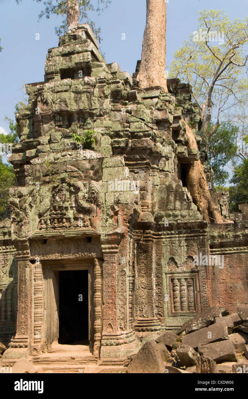 Ta Prohm, Angkor Archaeological Park, UNESCO World Heritage Site, Siem ...