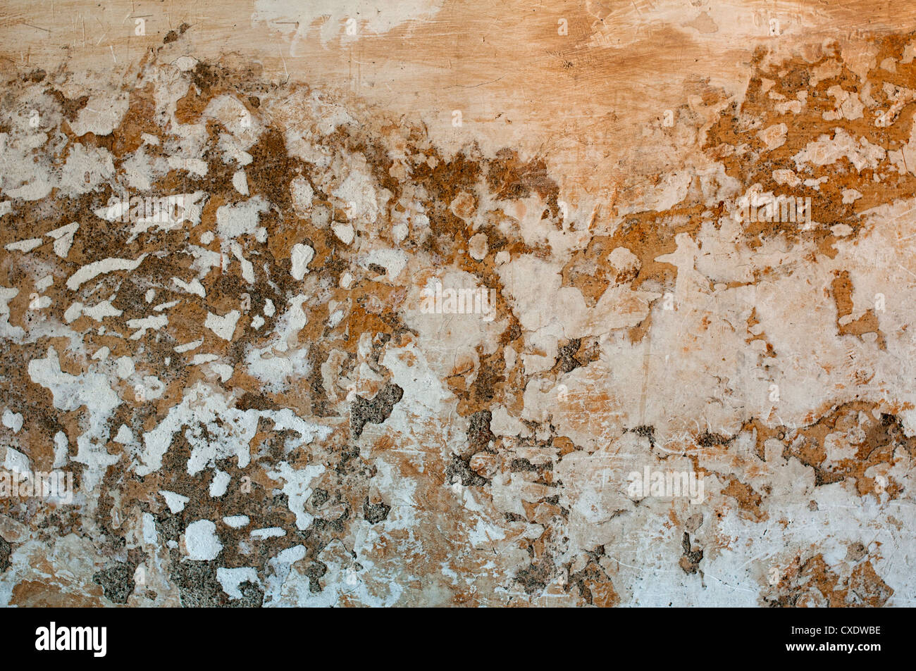 Battered wall hi-res stock photography and images - Alamy