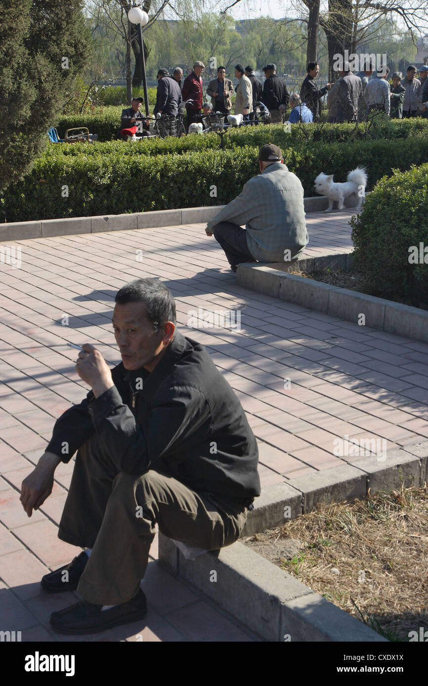 Beijing early morning scene in a park Stock Photo - Alamy
