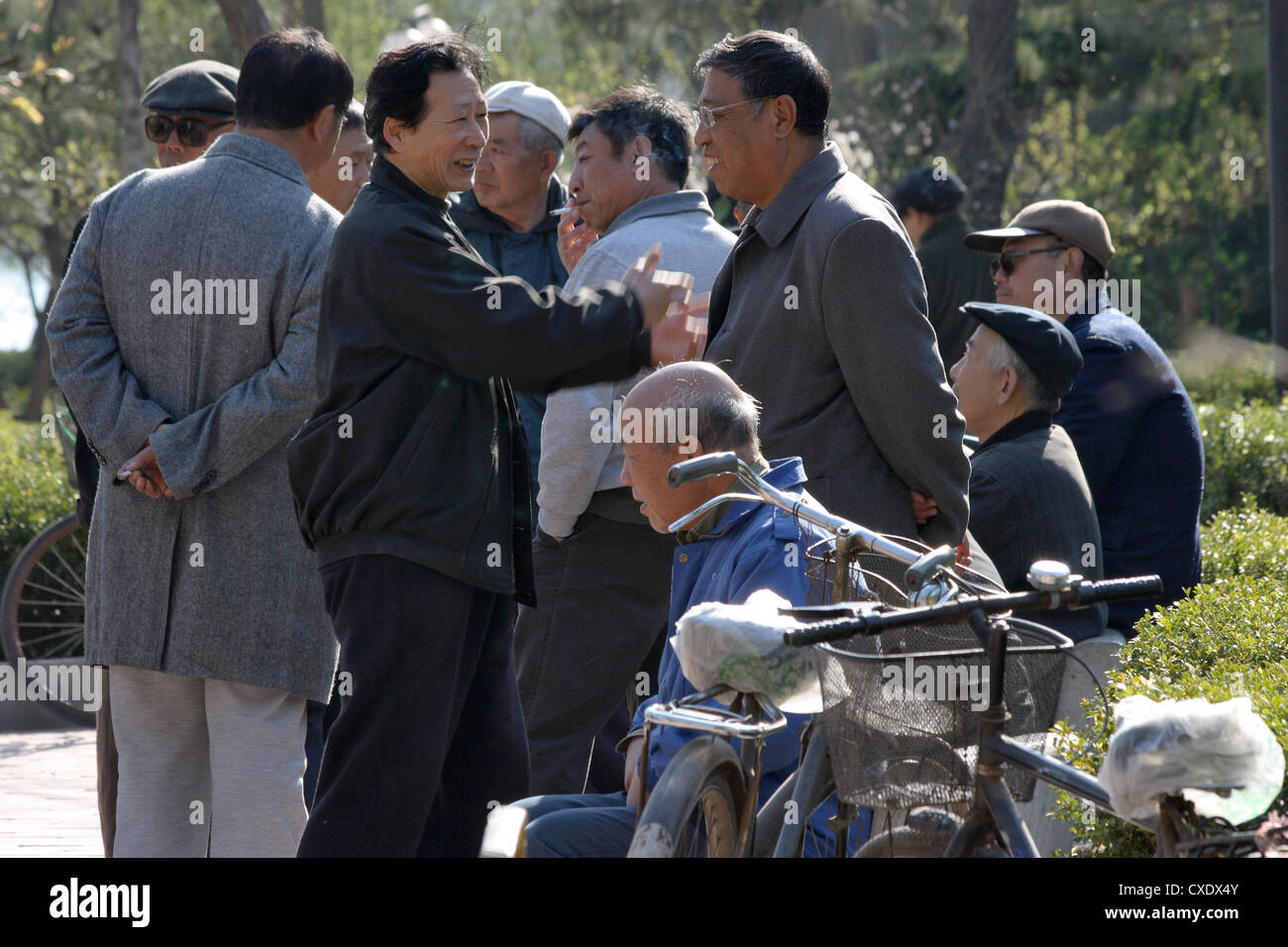 Beijing, men meet in the morning in the park Stock Photo - Alamy