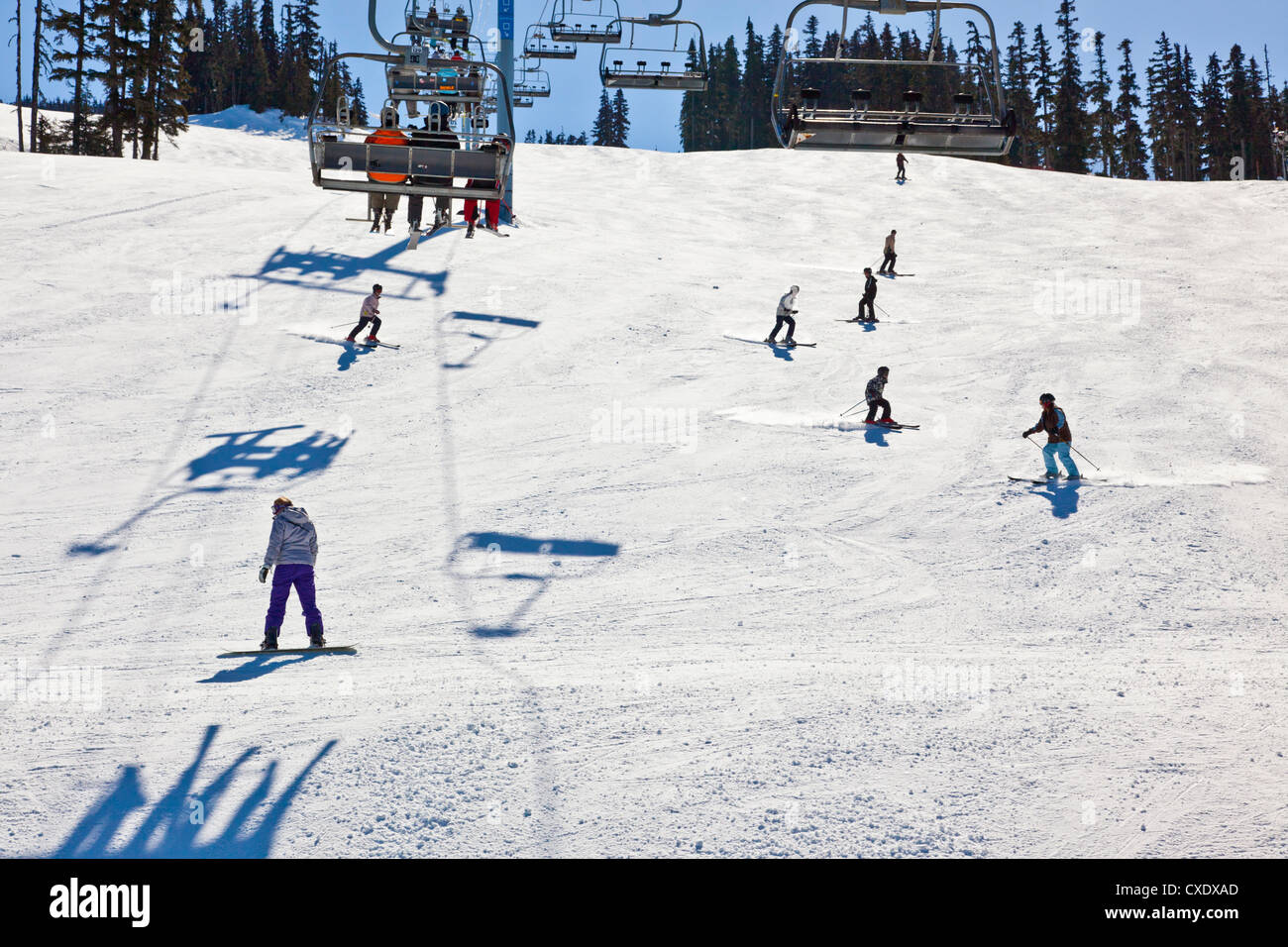 Whistler Blackcomb Ski Resort, Whistler, British Columbia, Canada ...