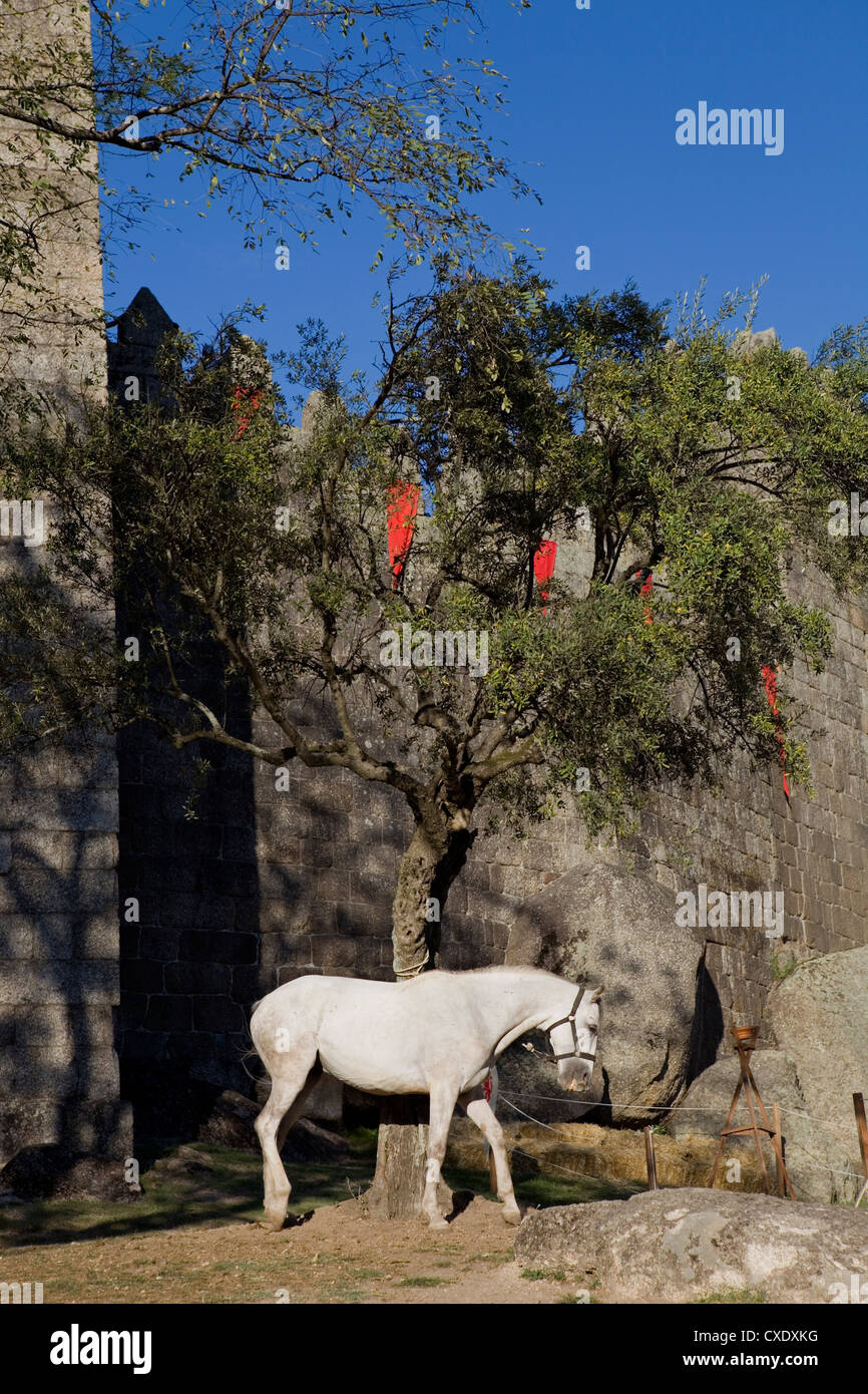 Medieval themed fairs; arts, crafts, and activities centered around the ...