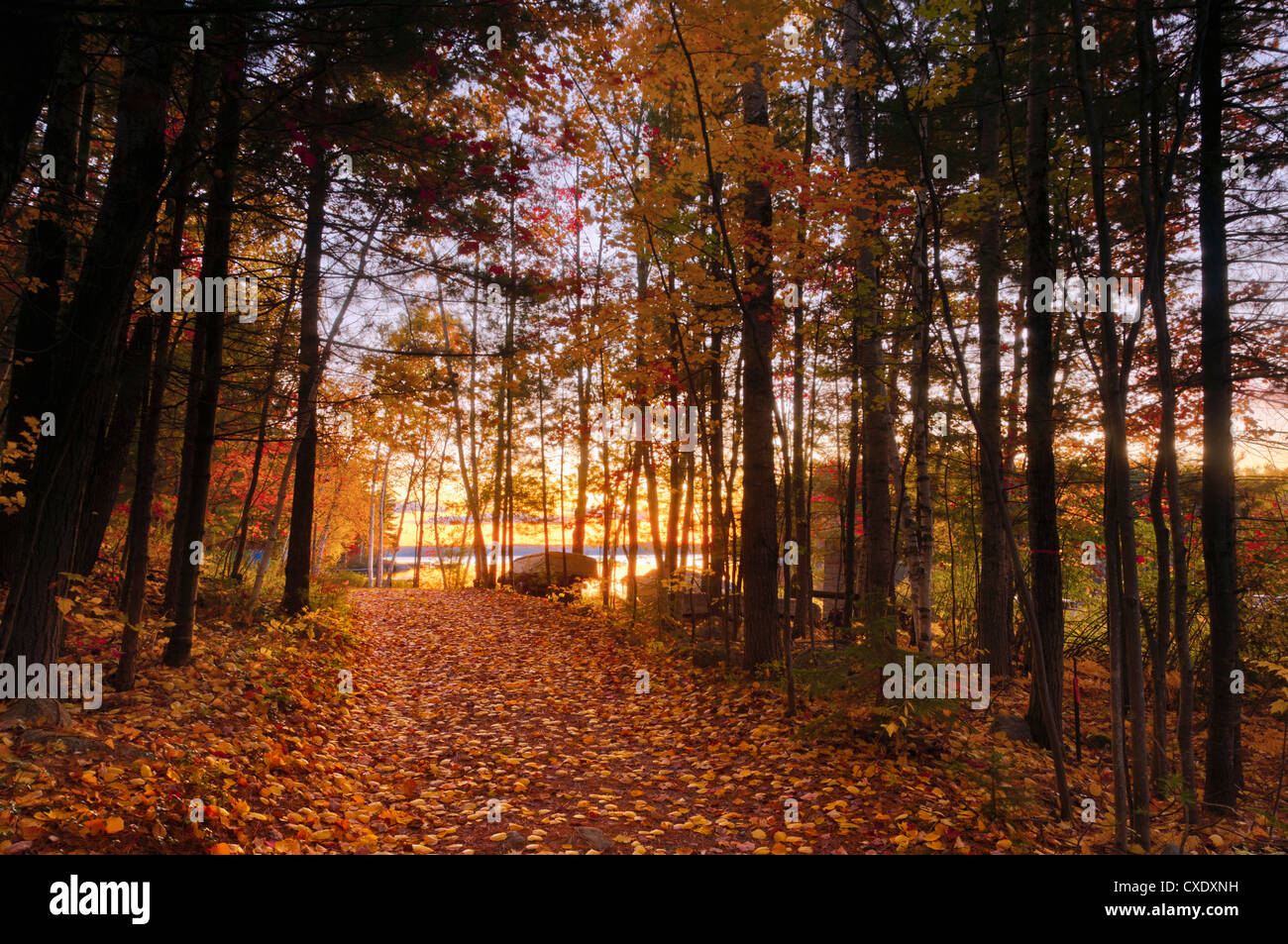Lake Millinocket at sunrise, Baxter State Park, Maine, New England ...