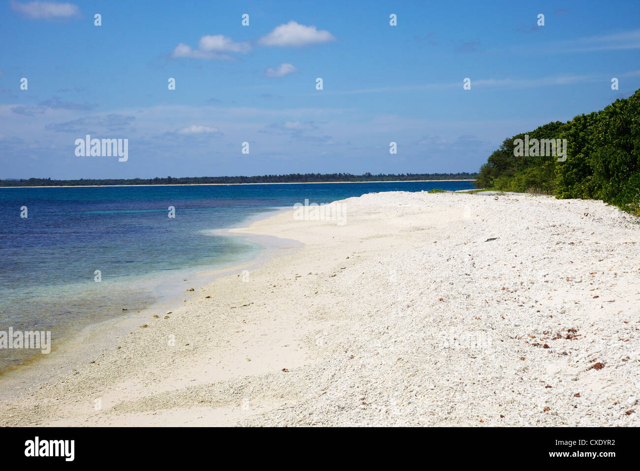 View of coral beach on Pigeon Island National Park, Trincomalee, Sri ...