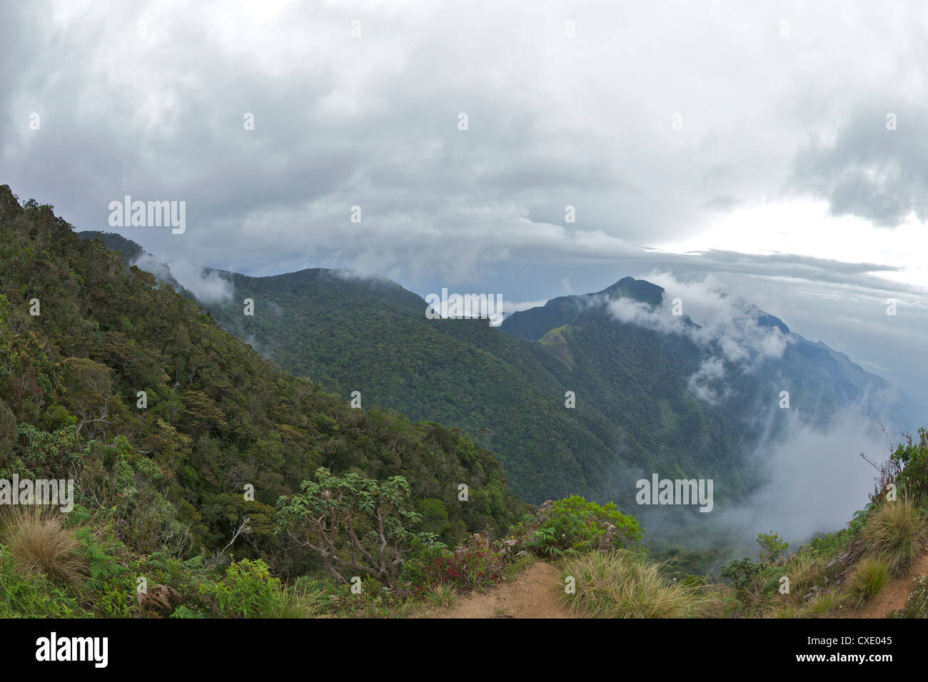 Mini World's End, Horton Plains National Park, Sri Lanka, Asia Stock ...