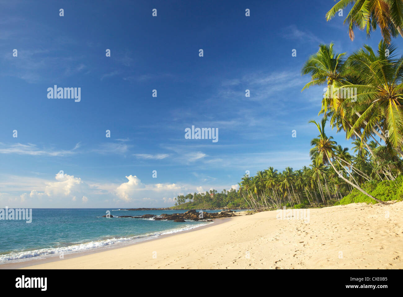 View of the unspoilt beach at Palm Paradise Cabanas, Tangalle, South ...