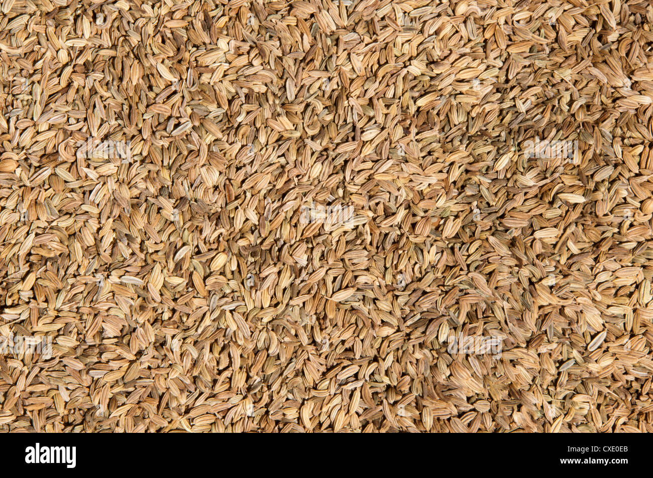 Heap of Cumin Seeds Stock Photo - Alamy