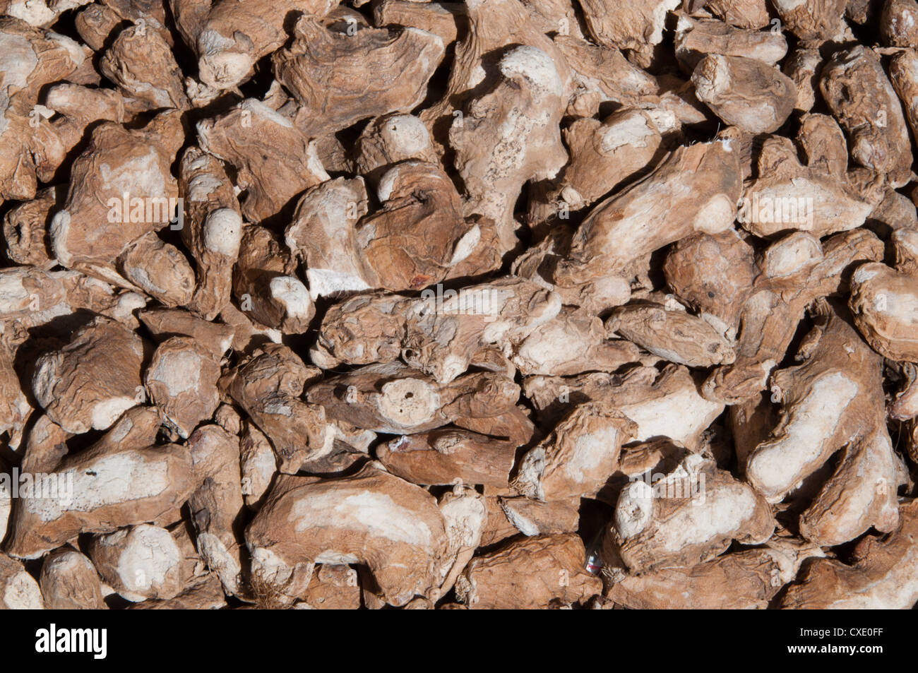 Ginger kerala hi-res stock photography and images - Alamy