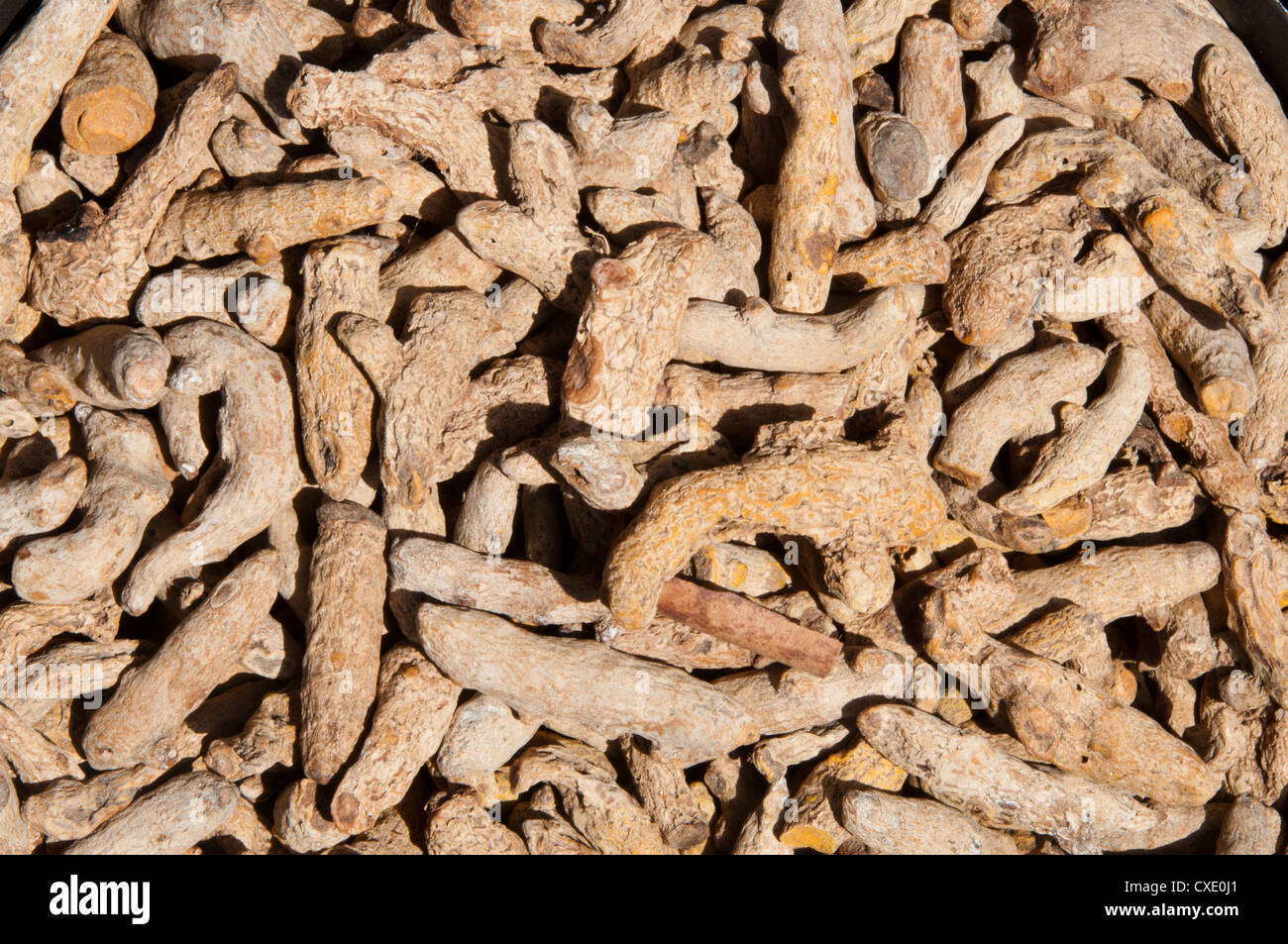 Raw turmeric with roots hi-res stock photography and images - Alamy