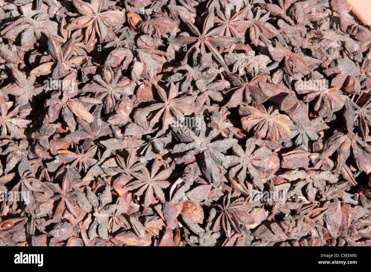 Heap of Star Anise Stock Photo - Alamy