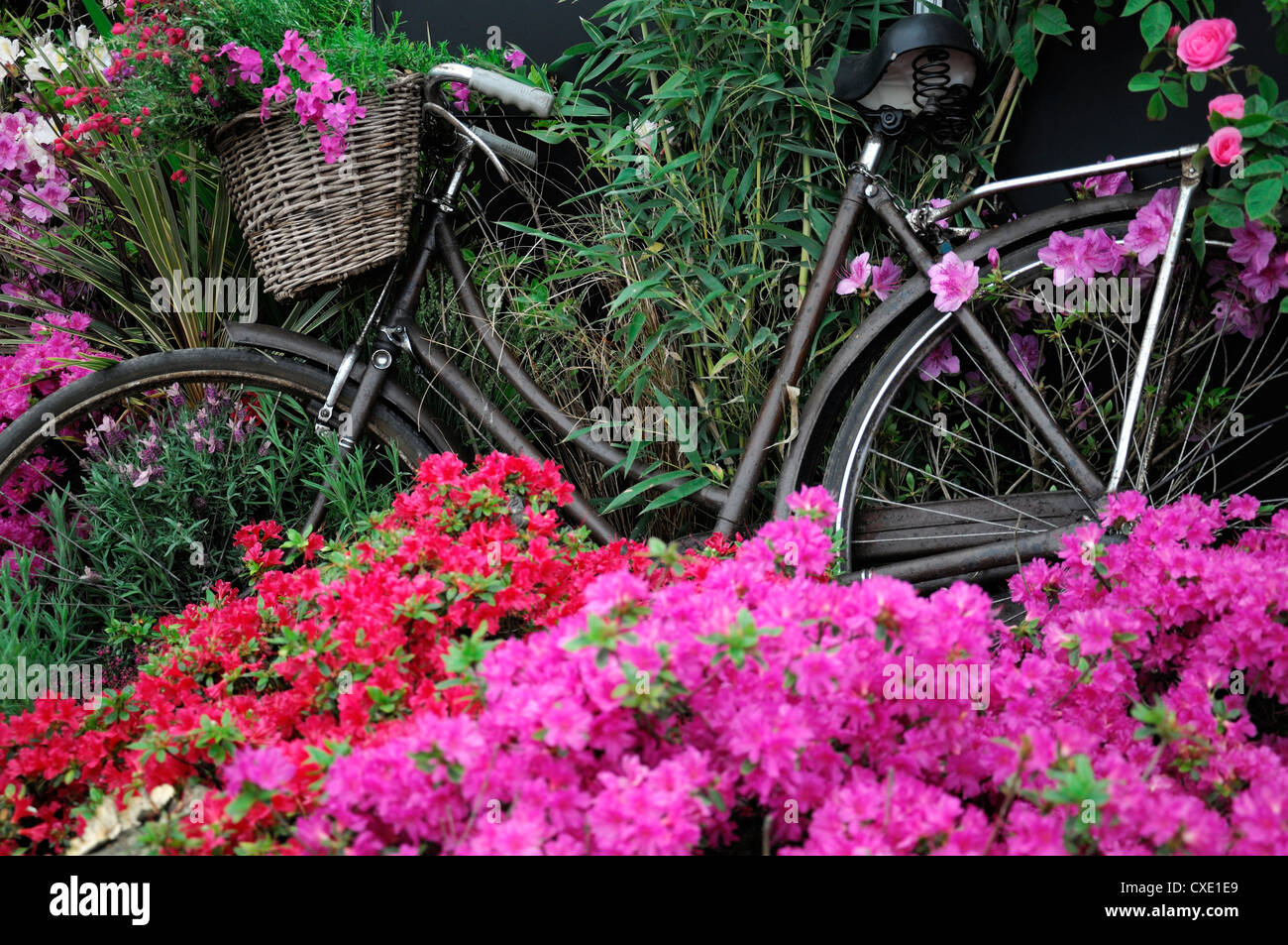 Pink bicycle design hi-res stock photography and images - Alamy