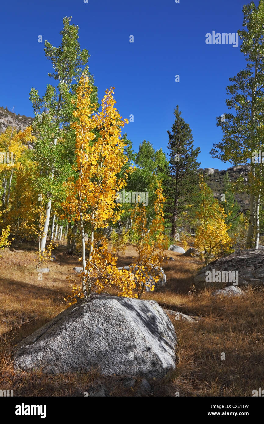 The large rocks - boulders Stock Photo - Alamy
