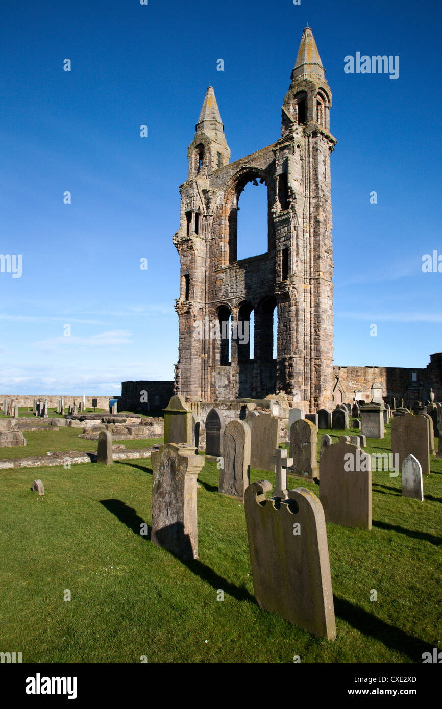 St Andrews Cathedral, St Andrews, Fife, Scotland Stock Photo - Alamy