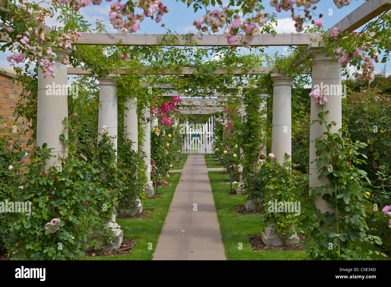Rose arbour hi-res stock photography and images - Alamy