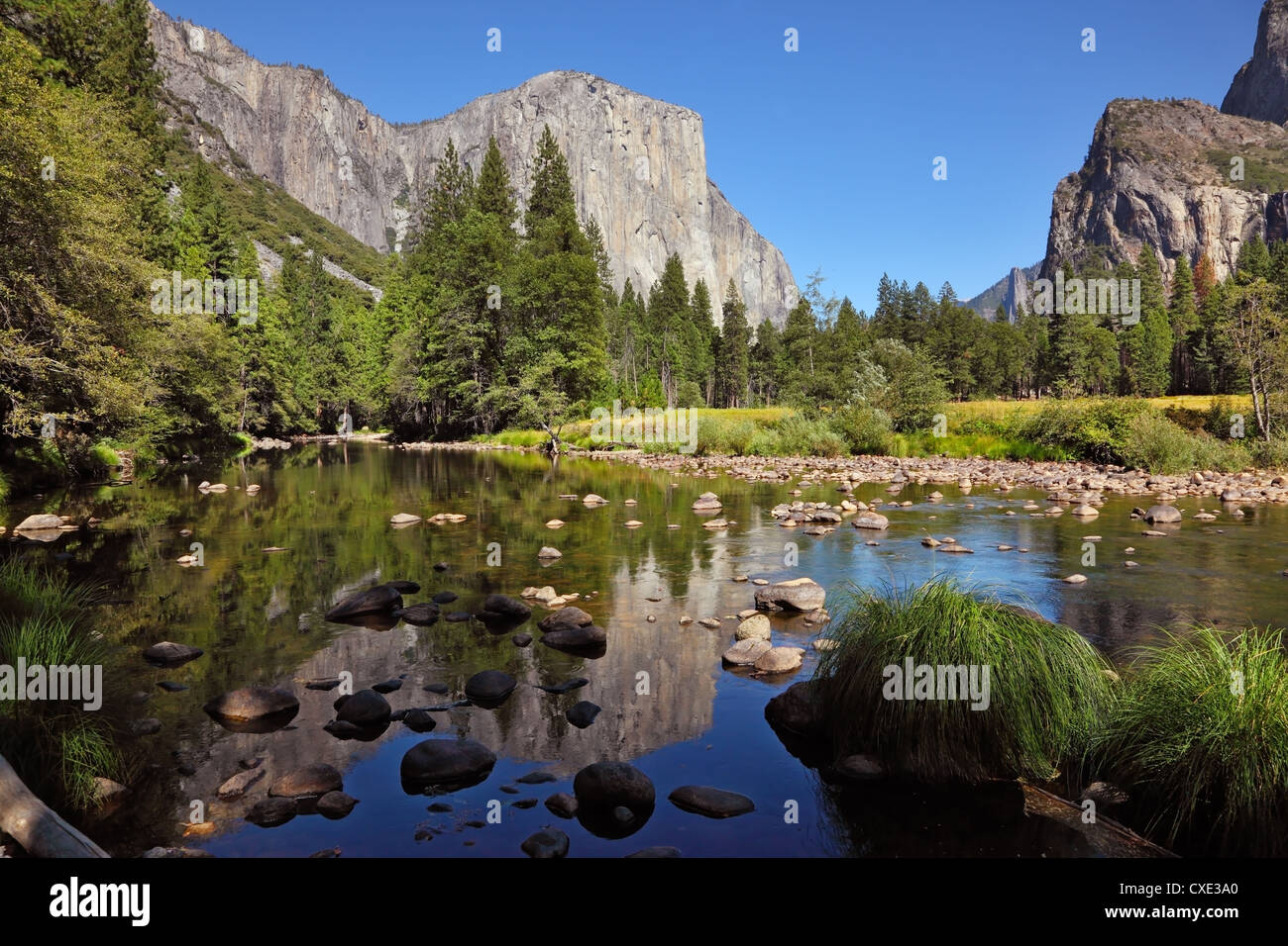 The famous valley of the Merced River Stock Photo - Alamy