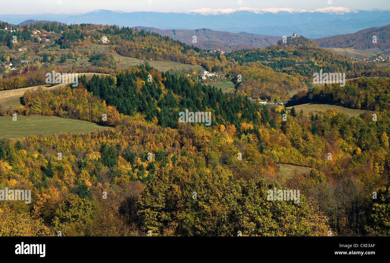 Fall woods and meadows, top view Stock Photo - Alamy