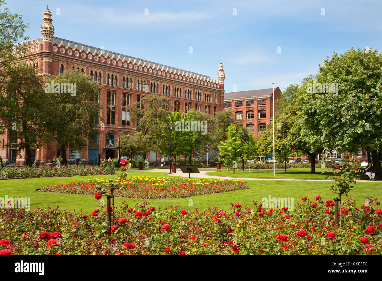Roses in bloom in Park Square, Leeds, West Yorkshire, Yorkshire ...