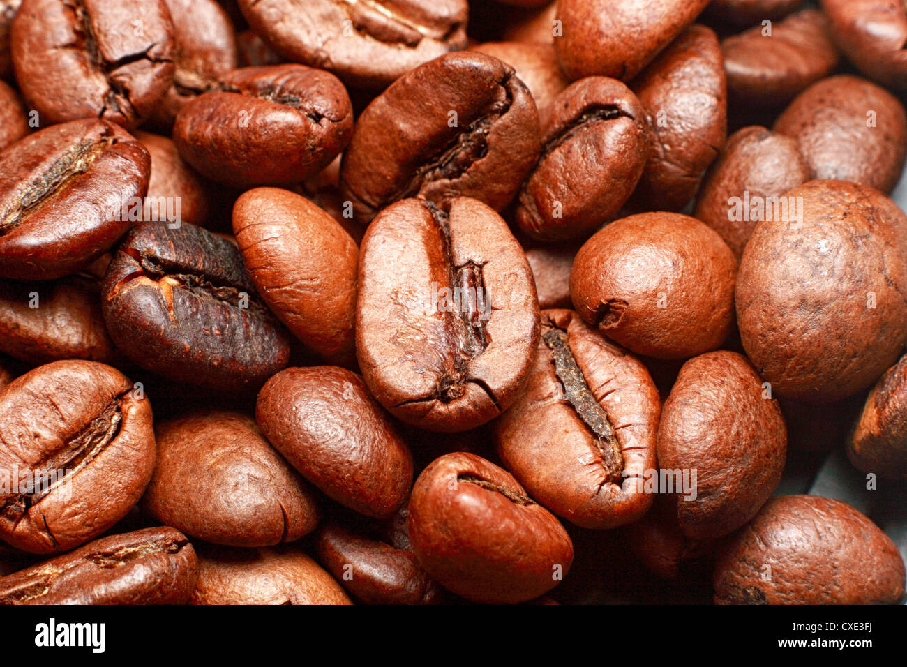Arabica beans hi-res stock photography and images - Alamy