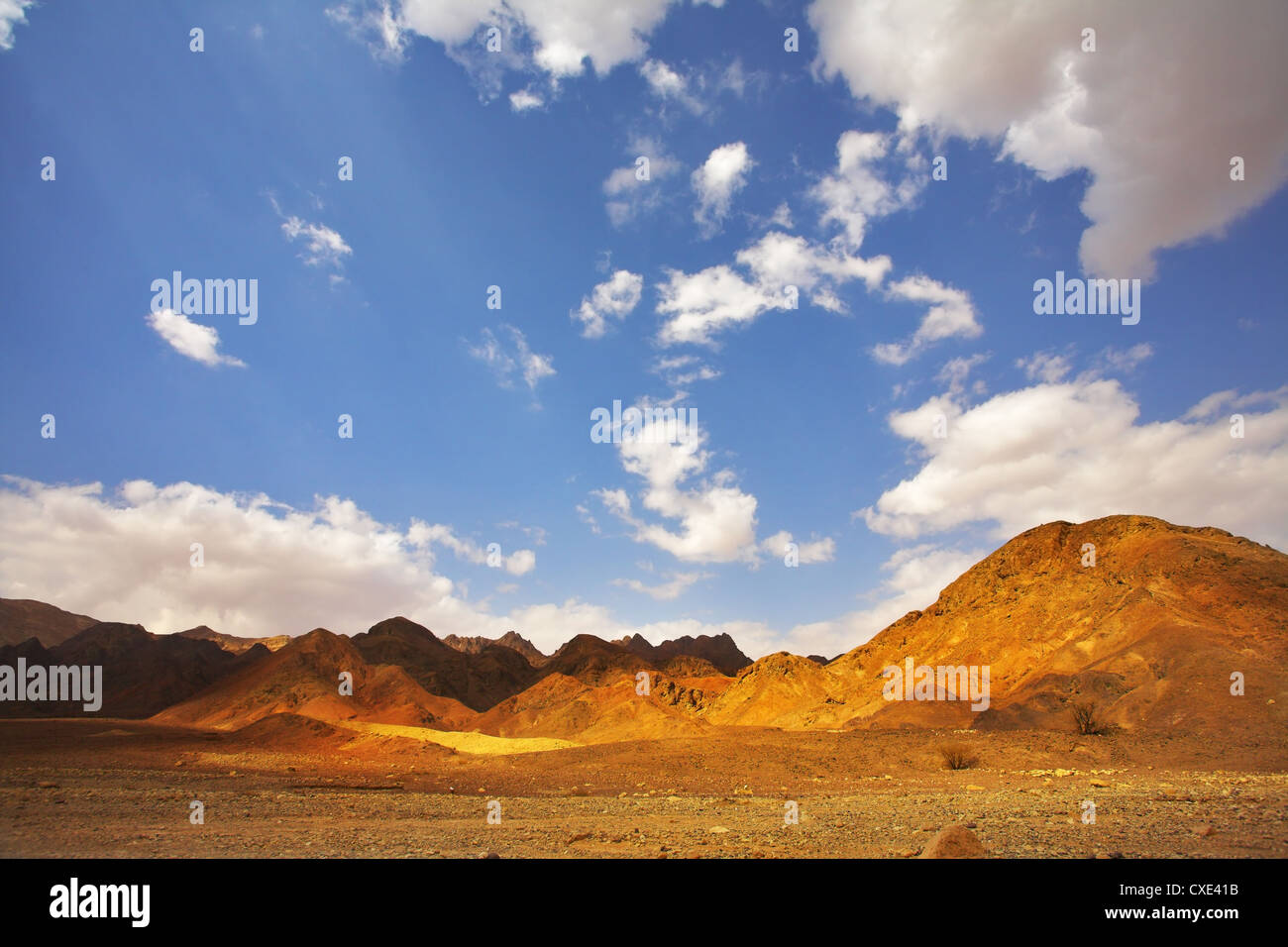Multi climate hi-res stock photography and images - Alamy