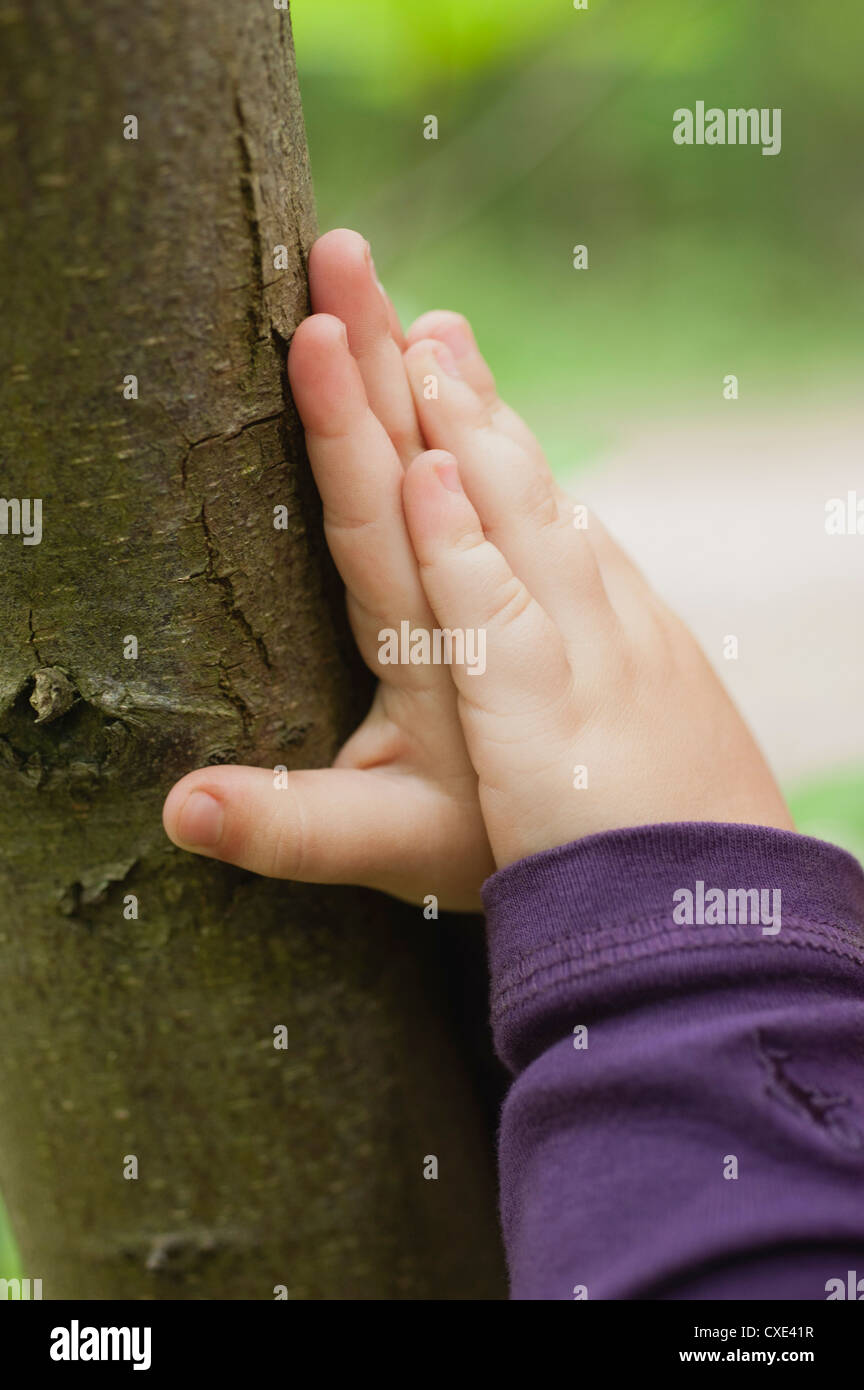 Toddler's hands touching tree trunk, cropped Stock Photo - Alamy