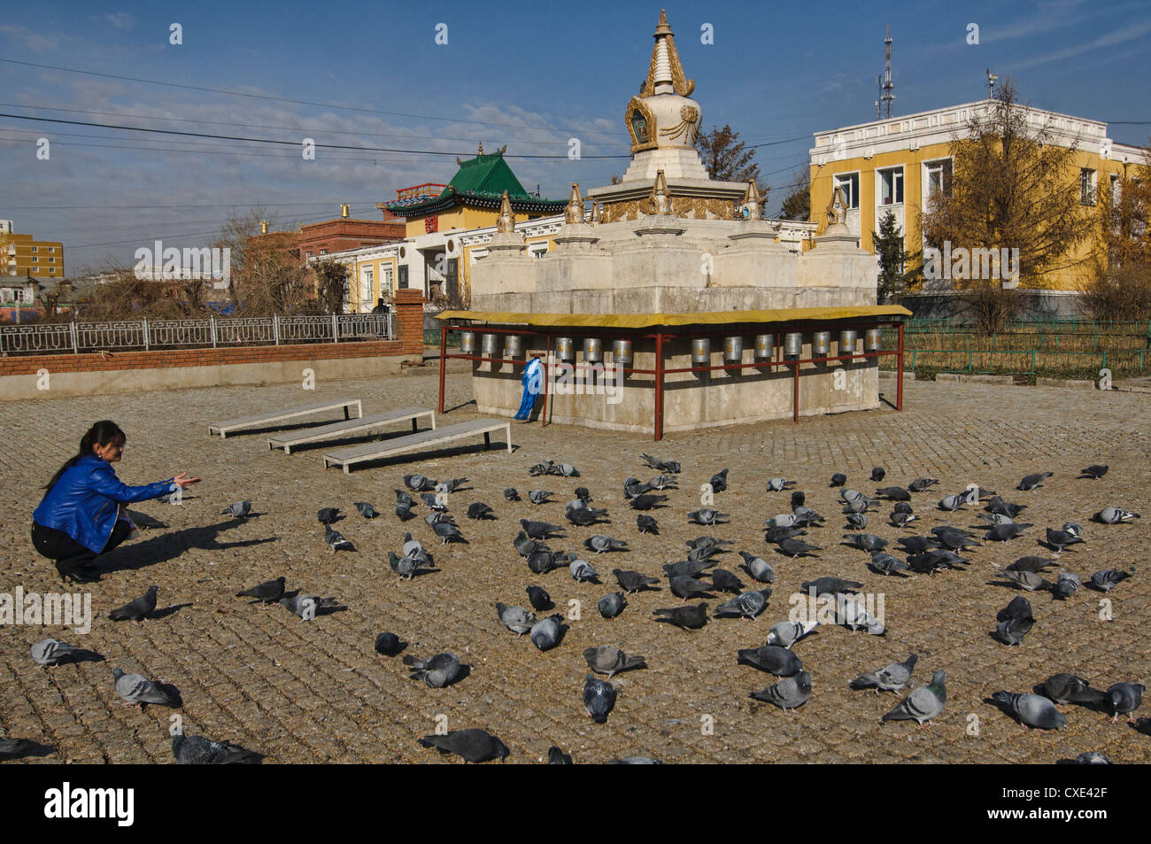 pigeons at Gandan Monastery in Ulan Baatar, Mongolia Stock Photo - Alamy