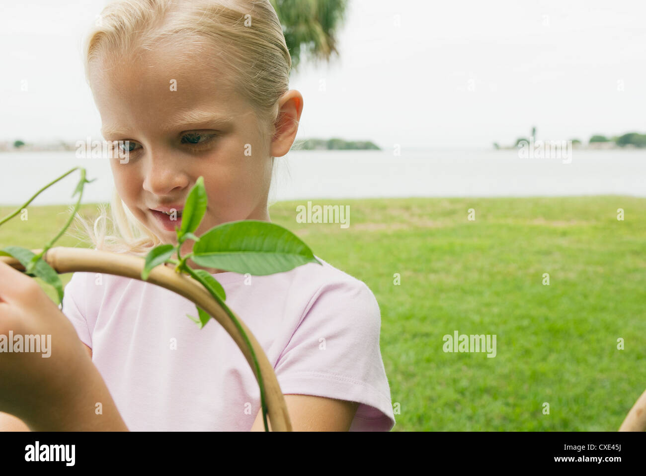 Girl wrapping vine around stake in garden Stock Photo - Alamy