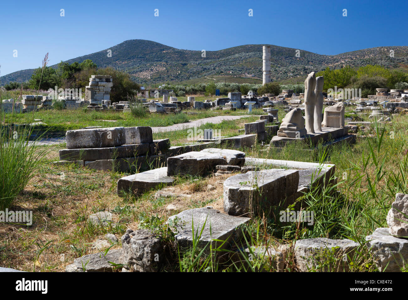 Ireon archaeological site with columns of the Temple of Hera, Ireon ...