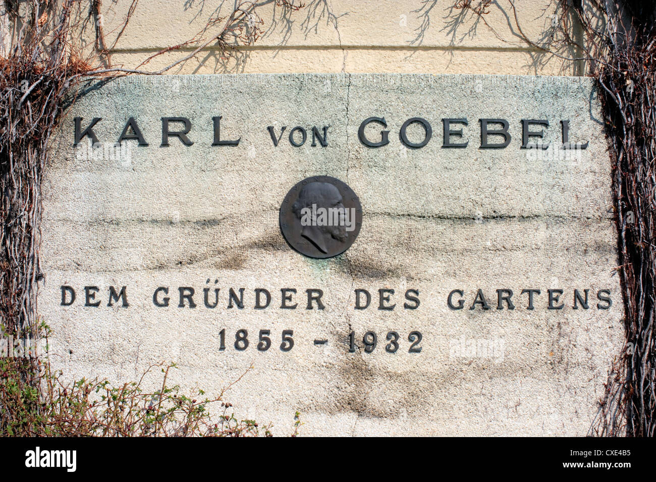 Karl immanuel eberhard ritter von goebel hi-res stock photography and ...