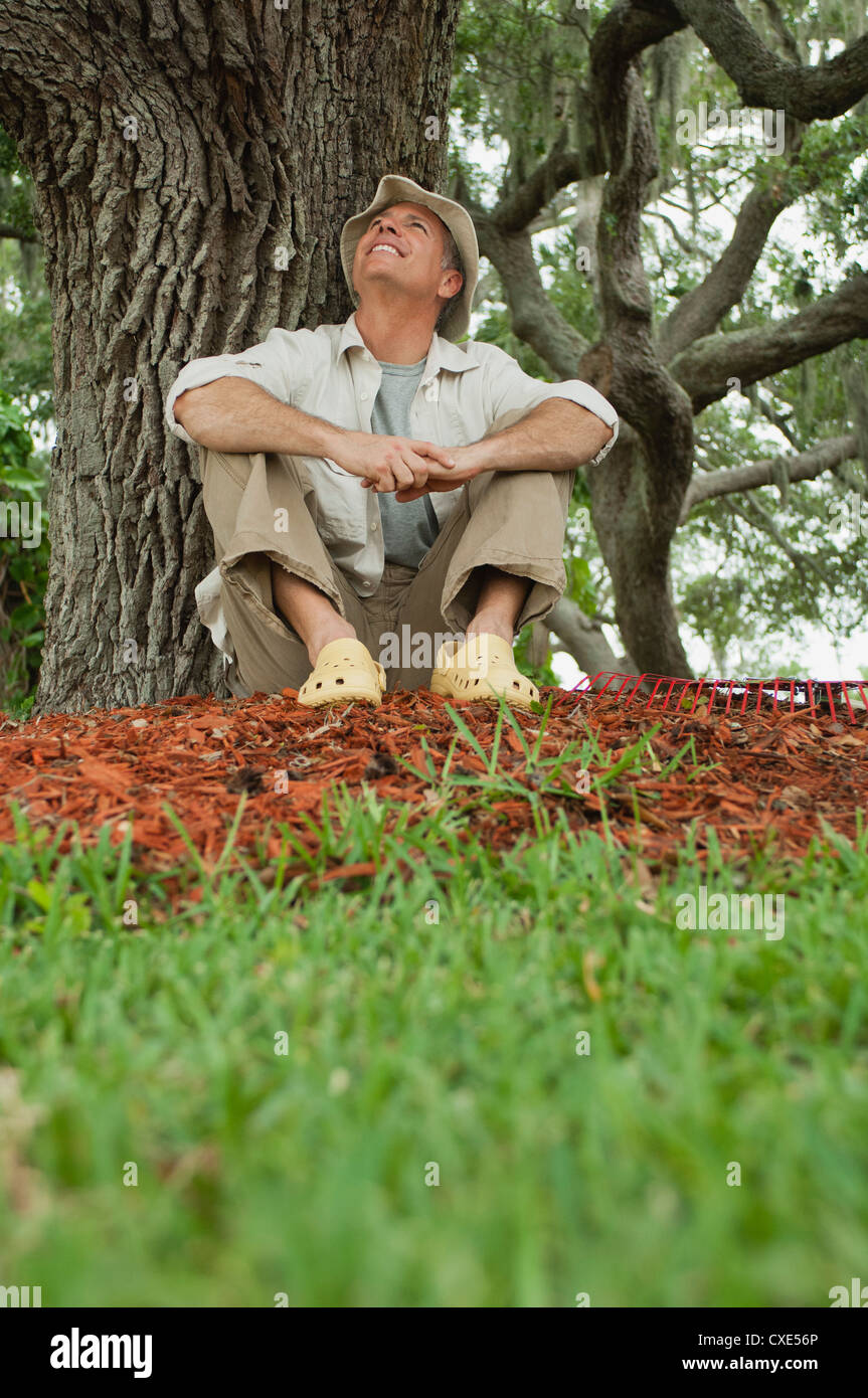 Mature man sitting under tree, looking up and smiling Stock Photo - Alamy