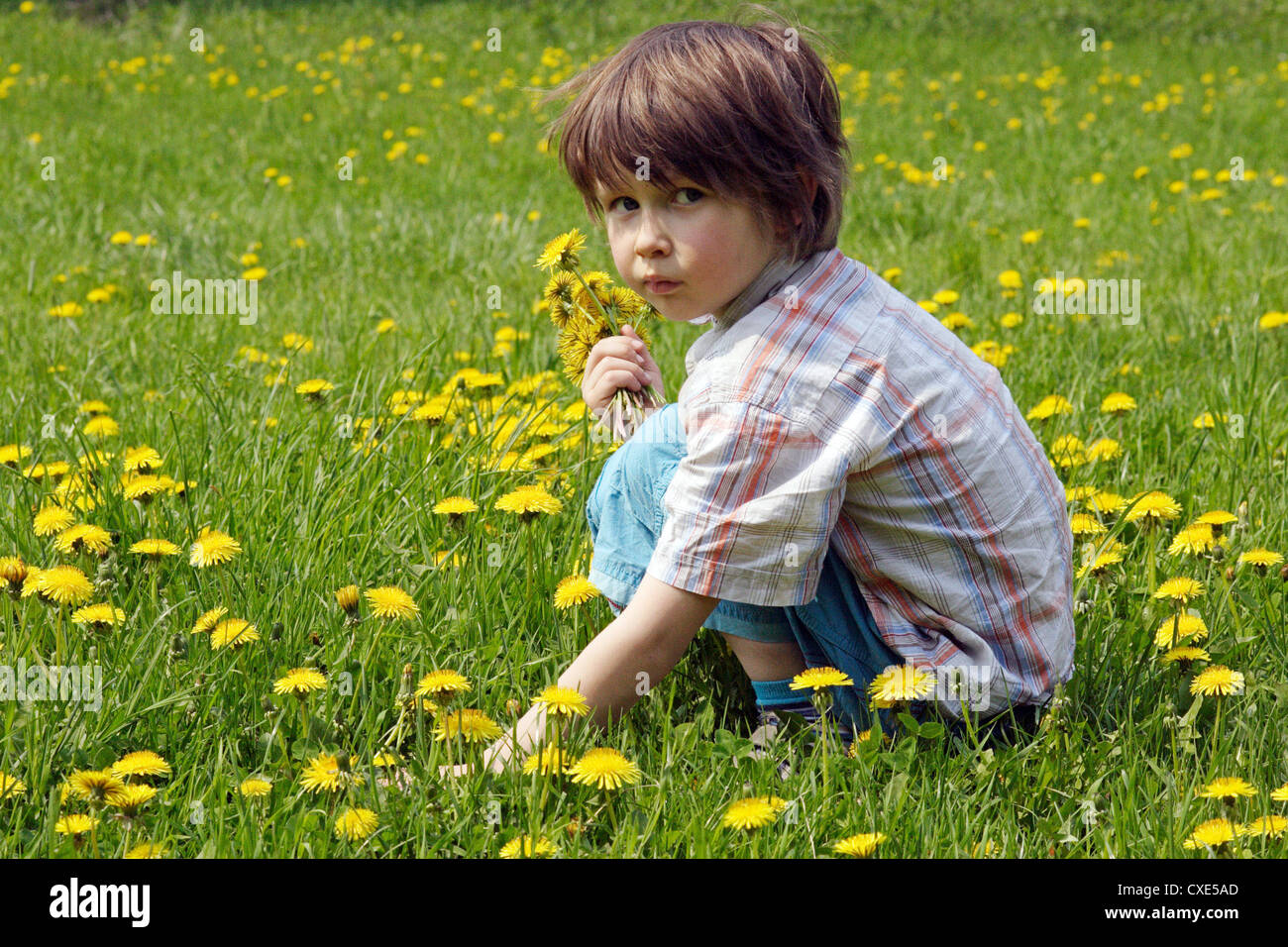 Leipzig, a child picking flowers in a meadow Stock Photo - Alamy