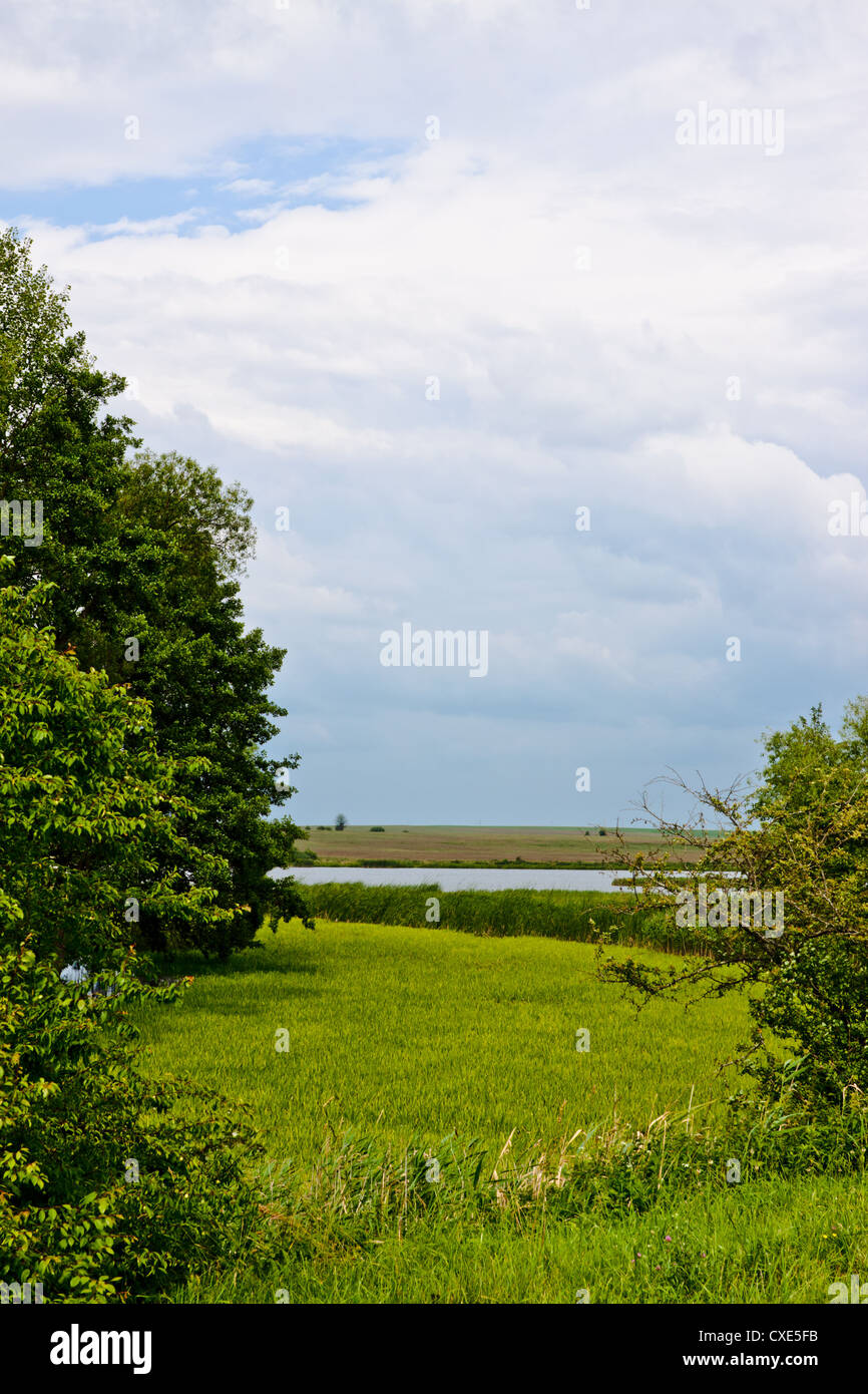 Nature Rural Landscape Stock Photo - Alamy