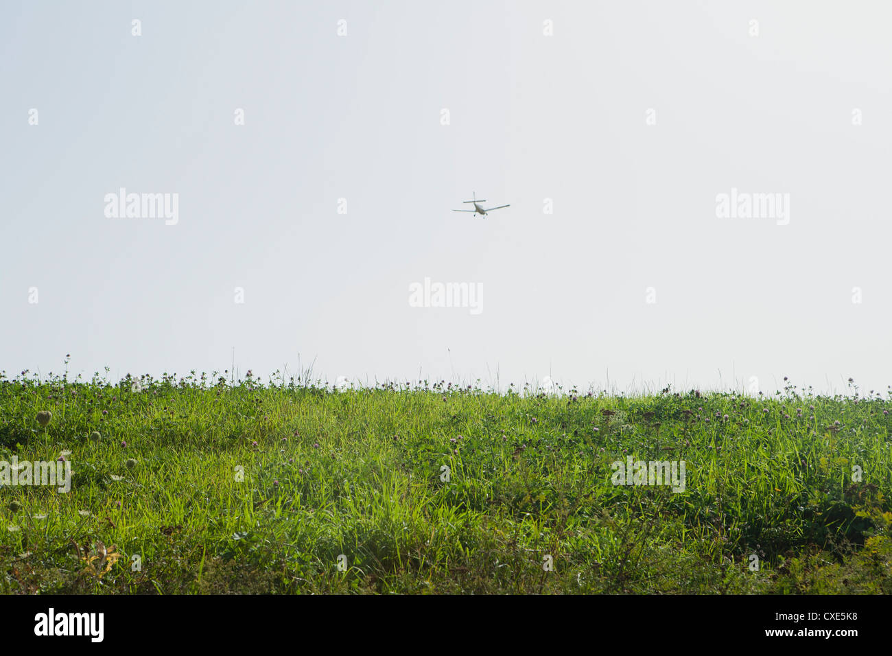 Plane flying over field of grass Stock Photo - Alamy