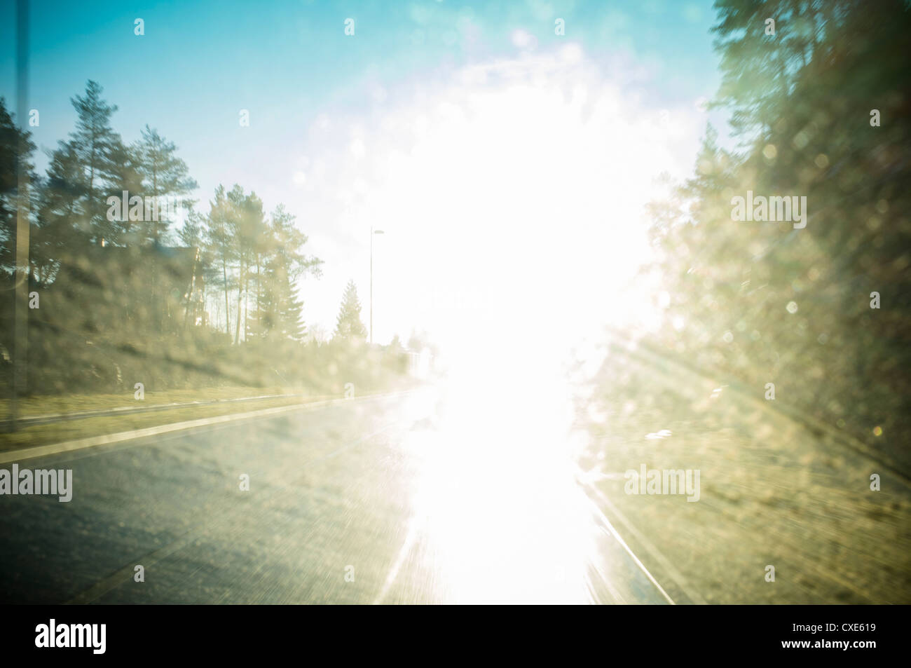 Car windscreen sun screen hi-res stock photography and images - Alamy