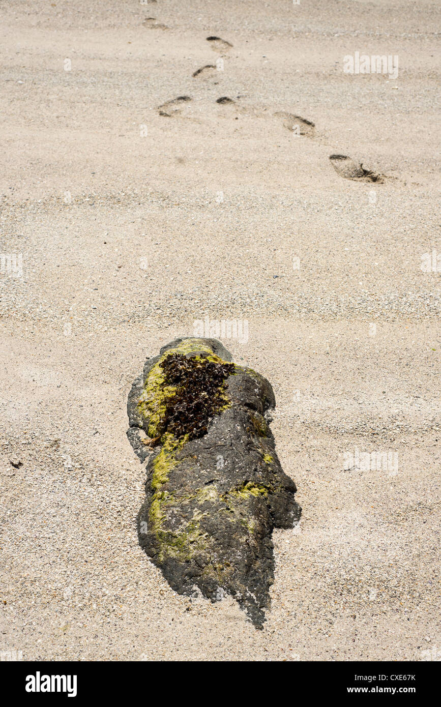 Footprints and a rock in sand Stock Photo - Alamy