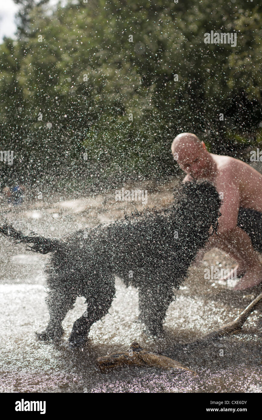 Dog bathing with owner hi-res stock photography and images - Alamy