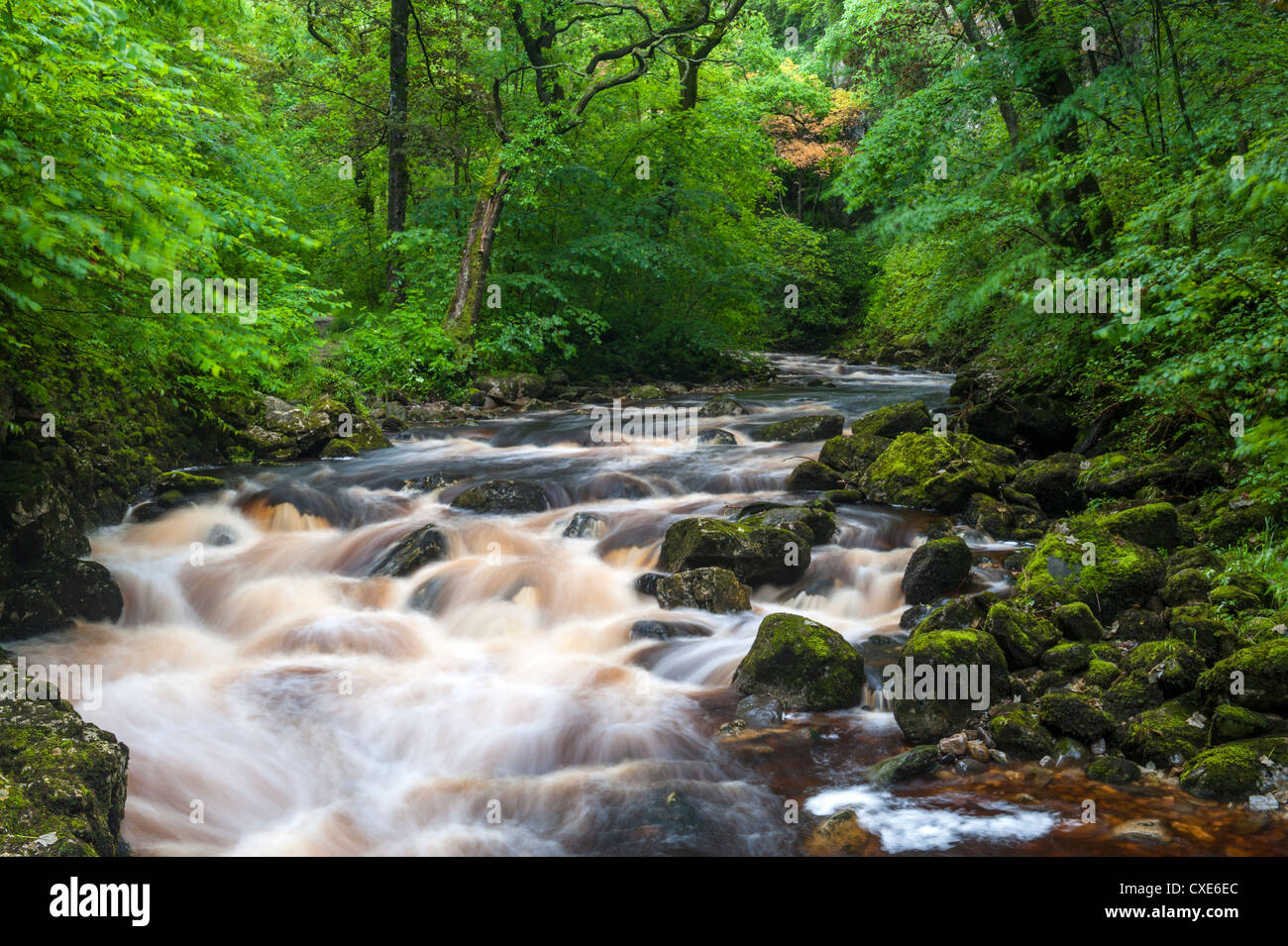 Yorkshire River High Resolution Stock Photography and Images - Alamy