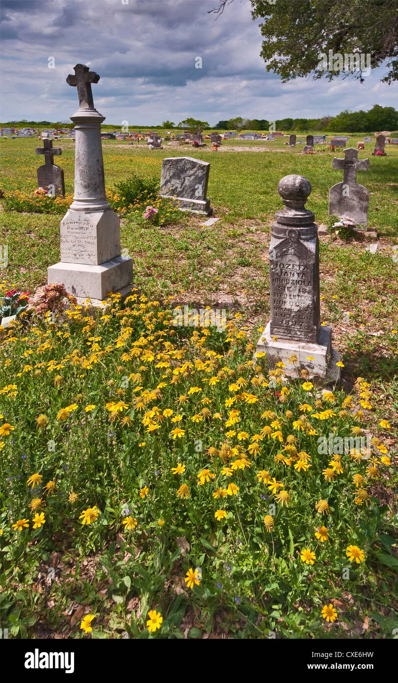 19th century tombstones with Polish inscriptions at cemetery in Panna ...