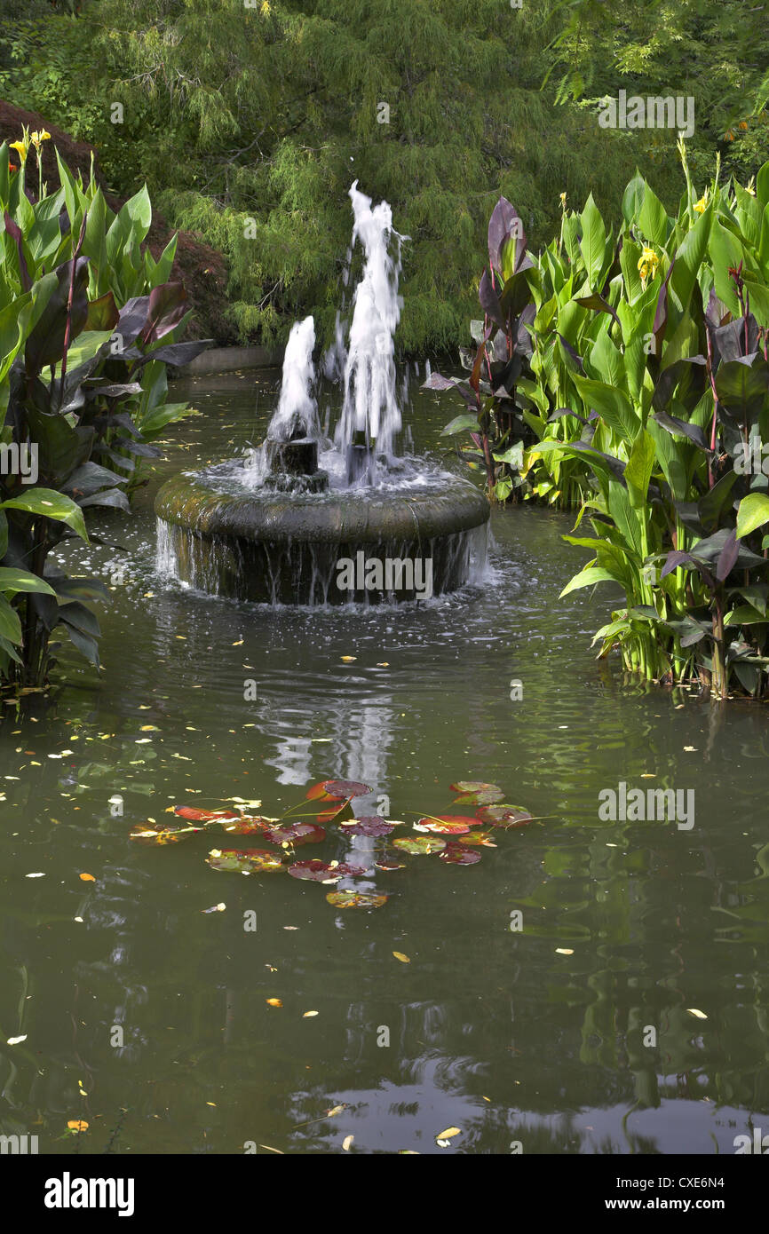 Splashs High Resolution Stock Photography and Images - Alamy
